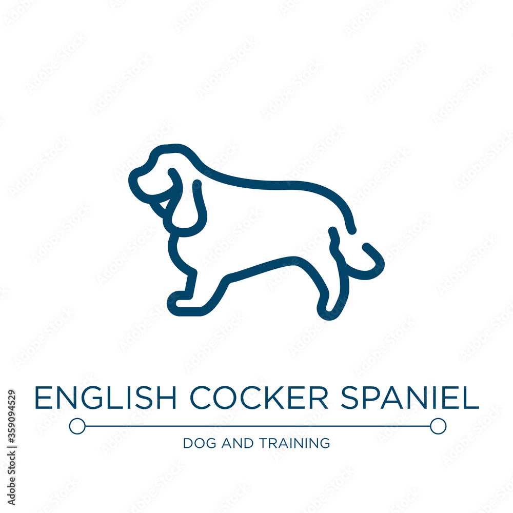 English cocker spaniel icon. Linear vector illustration from dog breeds ...