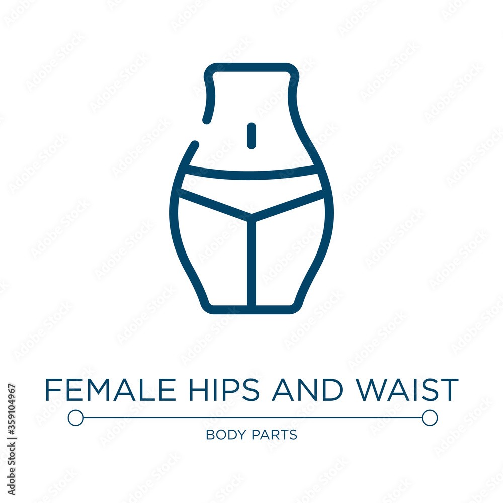 Female hips and waist icon. Linear vector illustration from body parts ...