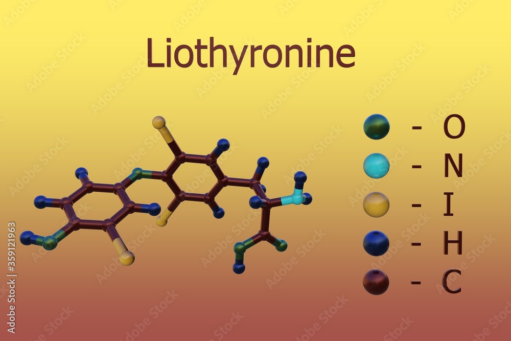 Molecular model of liothyronine, a manufactured form of the thyroid ...