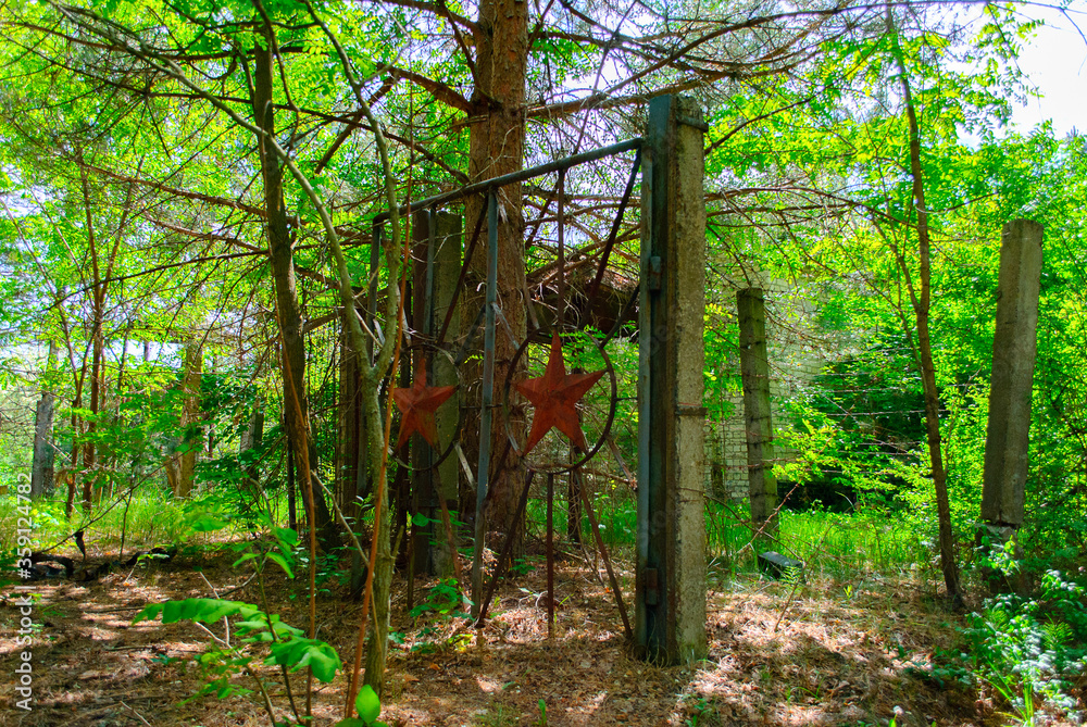 Nature and ruins in Chernobyl, a town in Ukraine, famous by the nuclear ...