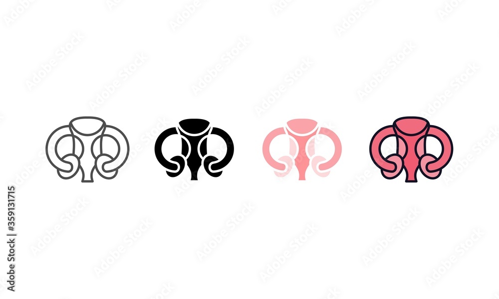 Healthy Female reproductive system in Internal organ include uterus ...