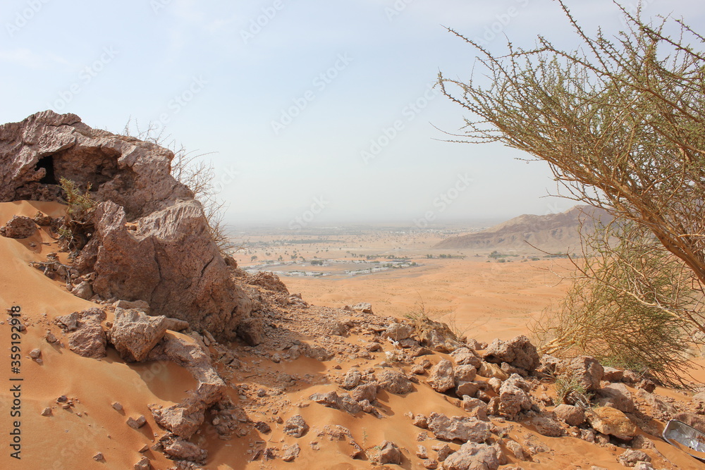 Hot and arid desert sand dunes terrain in Sharjah emirate in the United ...