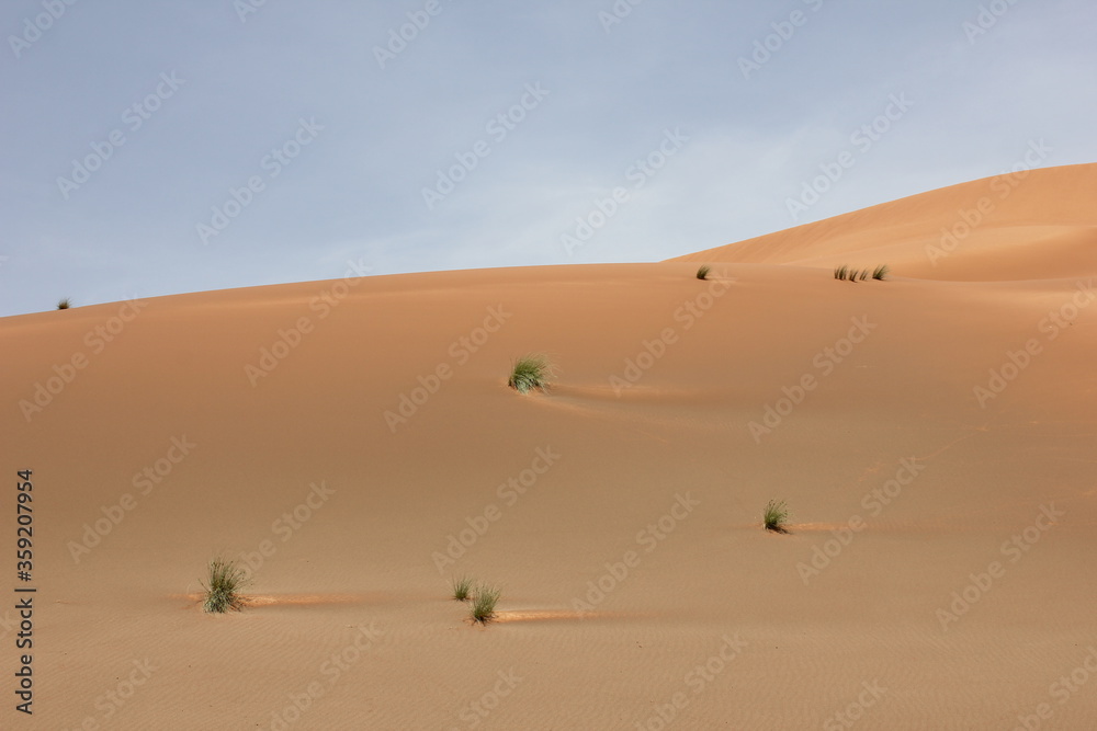 Hot and arid desert sand dunes terrain in Sharjah emirate in the United ...