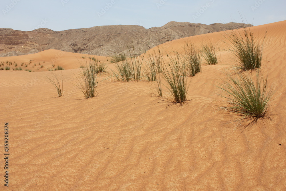 Hot and arid desert sand dunes terrain in Sharjah emirate in the United ...