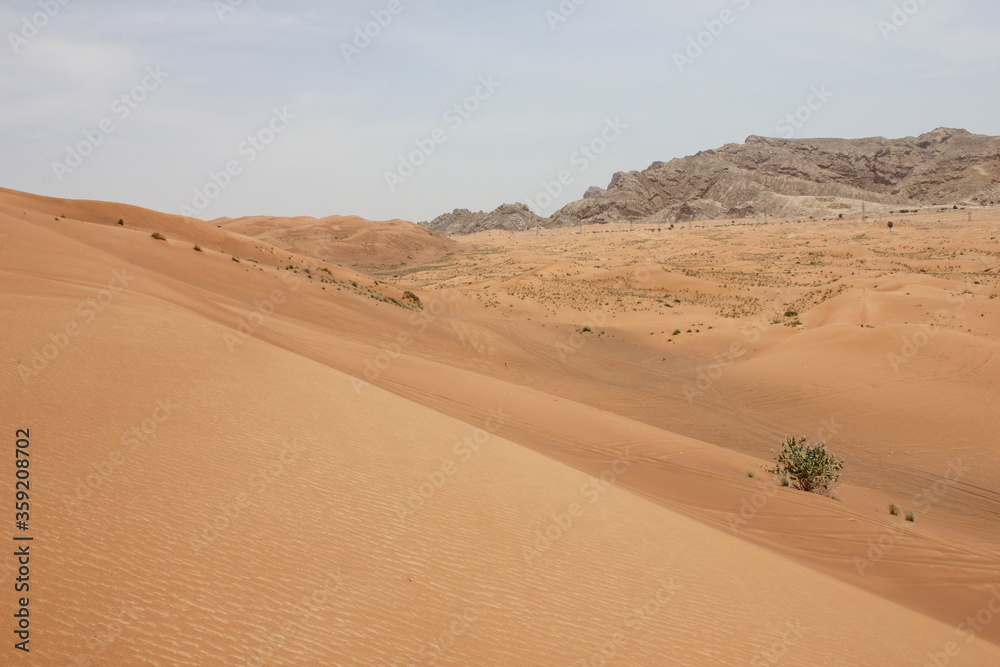 Hot and arid desert sand dunes terrain in Sharjah emirate in the United ...