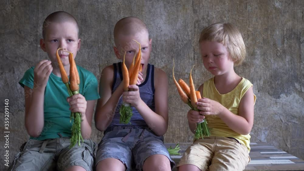 Three blond children eat young carrot in bundle tied with thread. boys ...