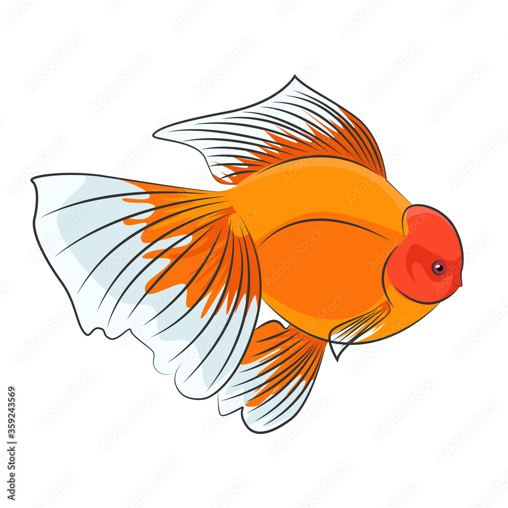 Goldfish Oranda Logo Vector Design Stock Vector | Adobe Stock