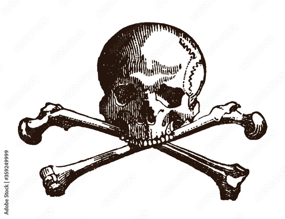Human skull and crossed bones, after antique engraving from 19th ...
