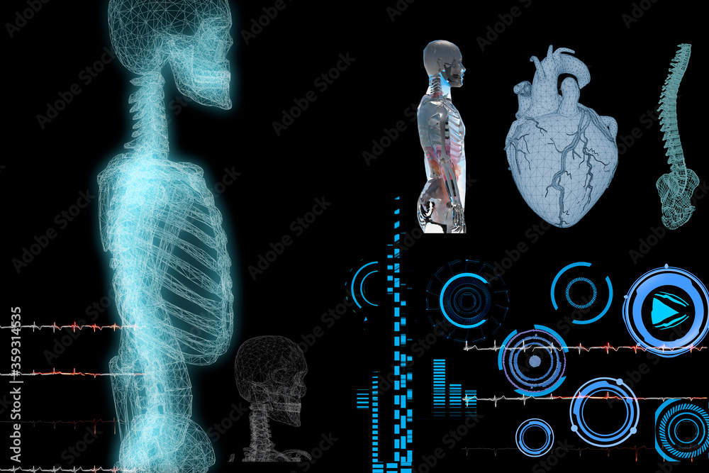 medical Interface, analysis of Human Male Anatomy Scan on Futuristic ...