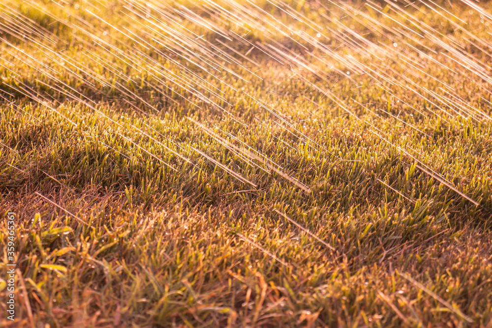 Green grass seamless texture. Seamless in only horizontal dimension ...