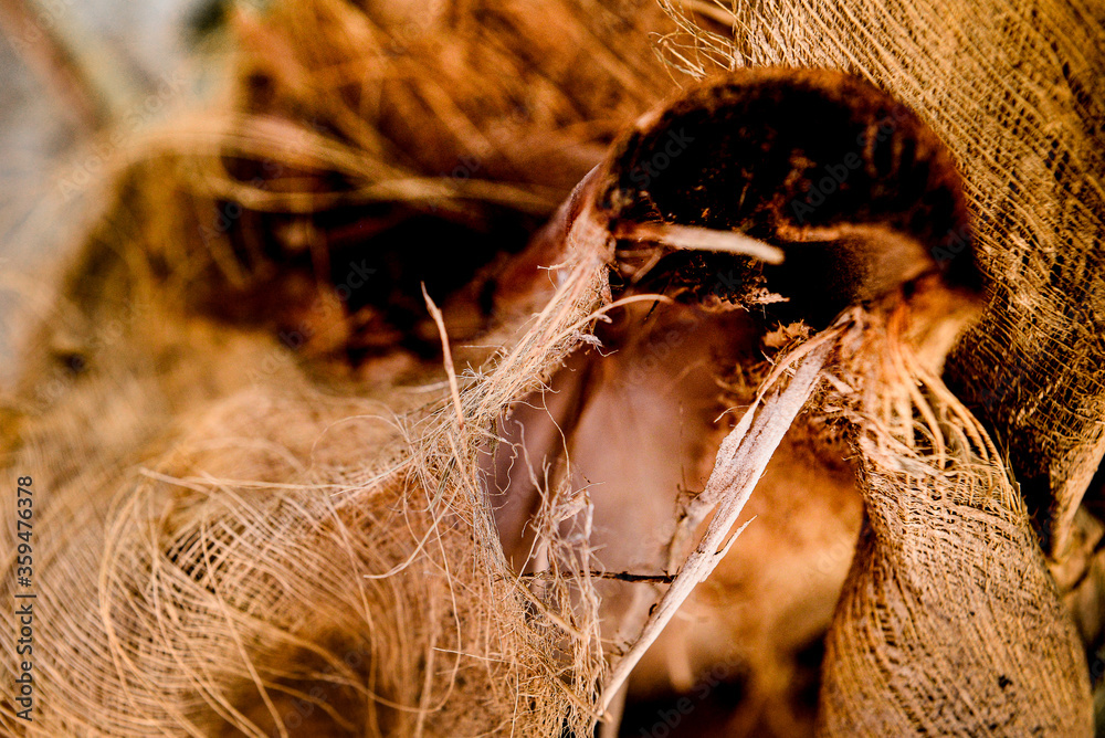 close up of coconut fiber handmade use, nature decorative screen ...