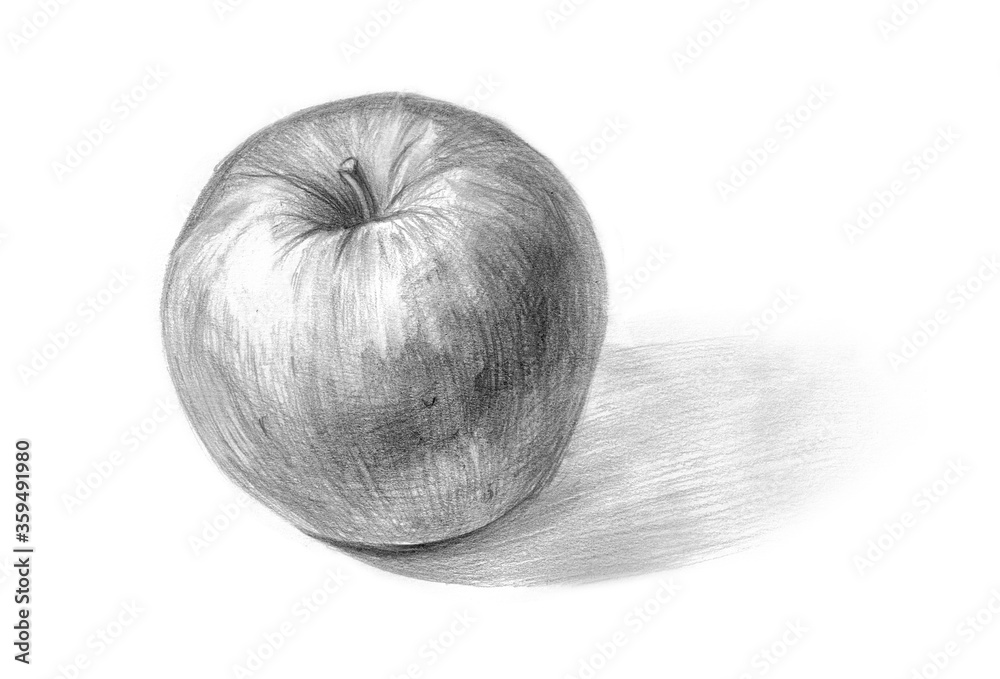 Apple pencil sketch on white background. Shaded black and white Stock ...
