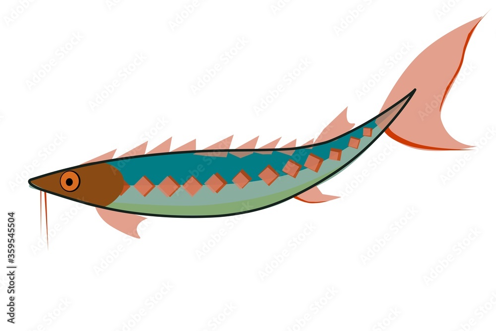 cartoon image of sturgeon fish for child drawing tutorial with ...