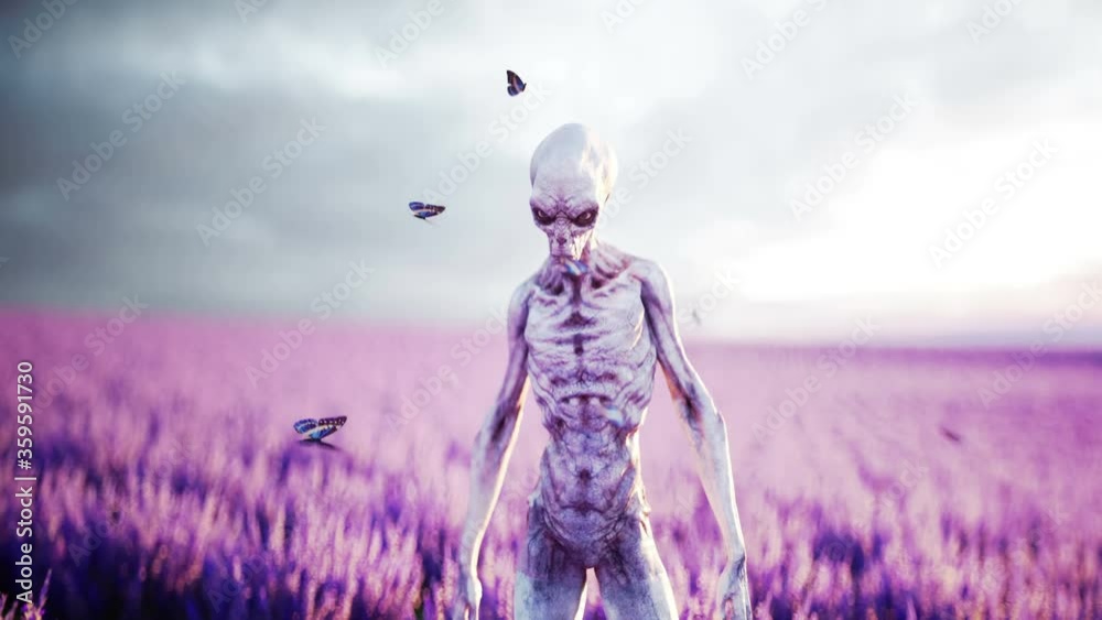 Alien with butterflies in lavender field. concept of UFO. Realistic 4k ...