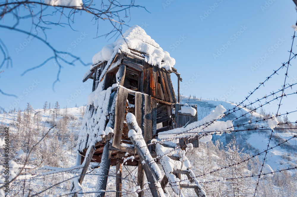 Ruins of wooden prison observation tower of labour camp GULAG in ...