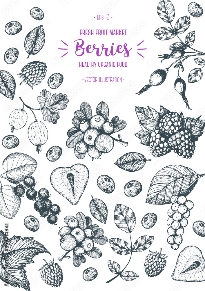 Berry hand drawn vector illustration frame. Hand drawn sketch ...