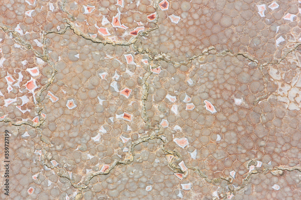 Aerial view of the salt pan and mineral crust with red algae of Lake ...