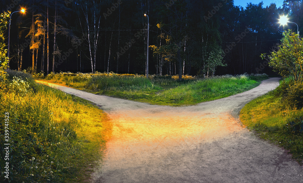 The road in the park at night is divided into two hiking trails ...