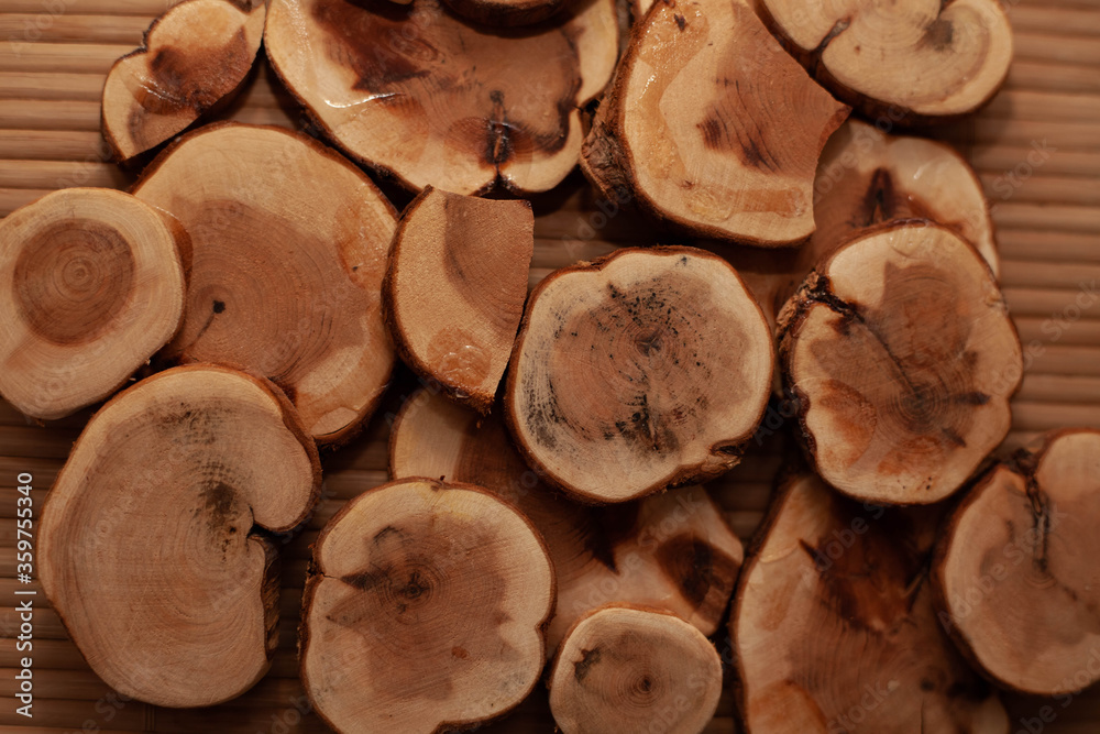 Cross section of tree trunks background. Wood felling design. ภาพถ่าย ...