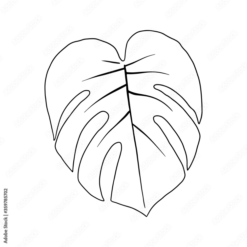 Hand drawn line art vector monstera leaf. Modern plant design. Contour ...