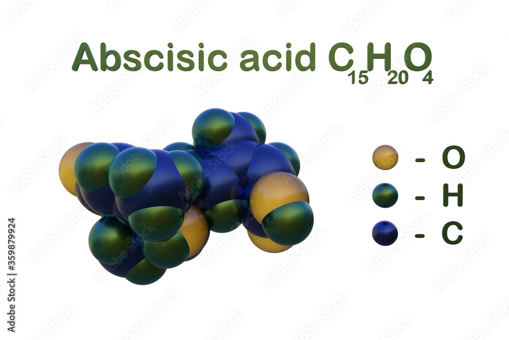 Ilustrace „Structural chemical formula and molecular model of abscisic ...