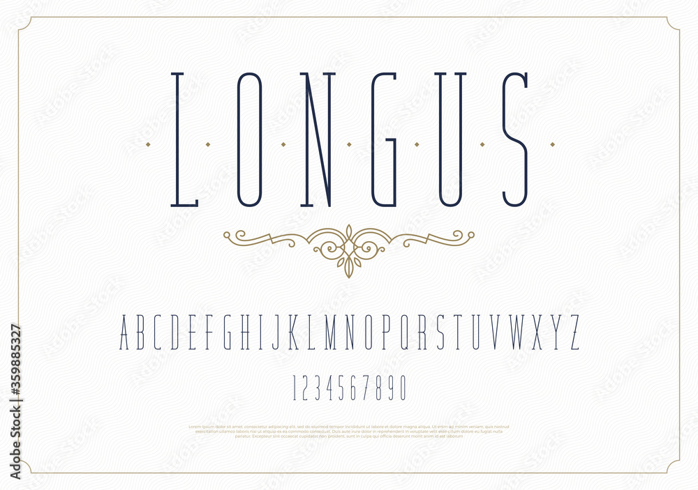 Elegant stylish font. Modern condensed serif typeface. English alphabet ...