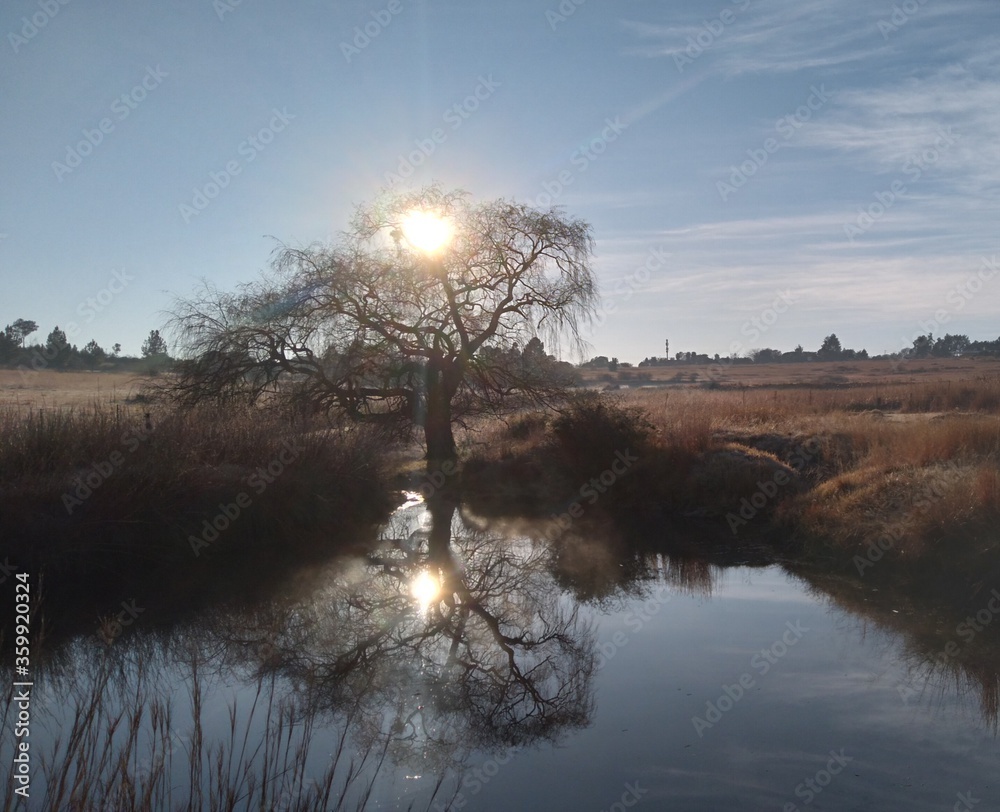 Sunrise over brown and dull grass fields landscape with the rising sun ...