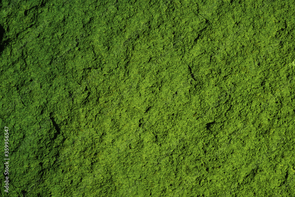 Grunge Texture Roc - Background HD Photo - Green Granit Roc Concept ...
