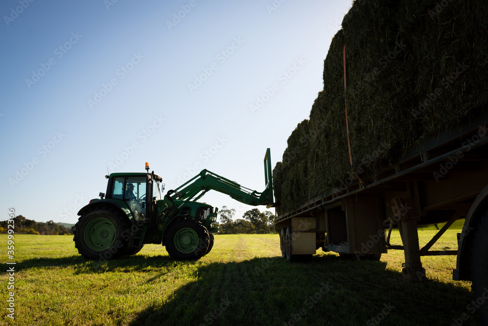 Tractor loading hay Stock Photo | Adobe Stock