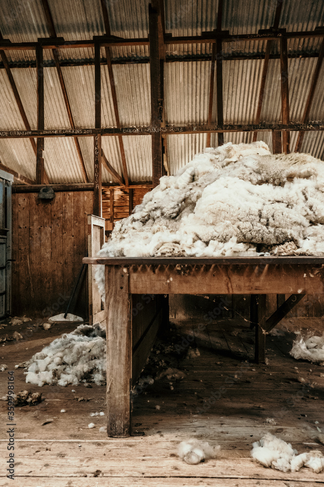 Wool sorting table with fleece in shed Stock Photo | Adobe Stock