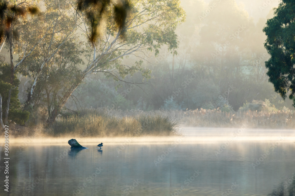 mist rising over water in early morning light Stock Photo | Adobe Stock