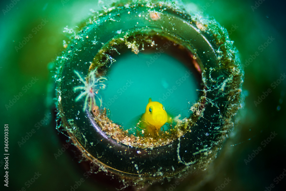 Glass House Stock Photo | Adobe Stock