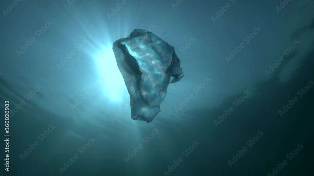 Plastic pollution, used blue plastic bag slowly drifting underwater in ...