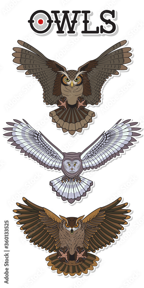 Vector Owls Flying Predatory Birds, Tattoo Style Drawings Stock Vector ...