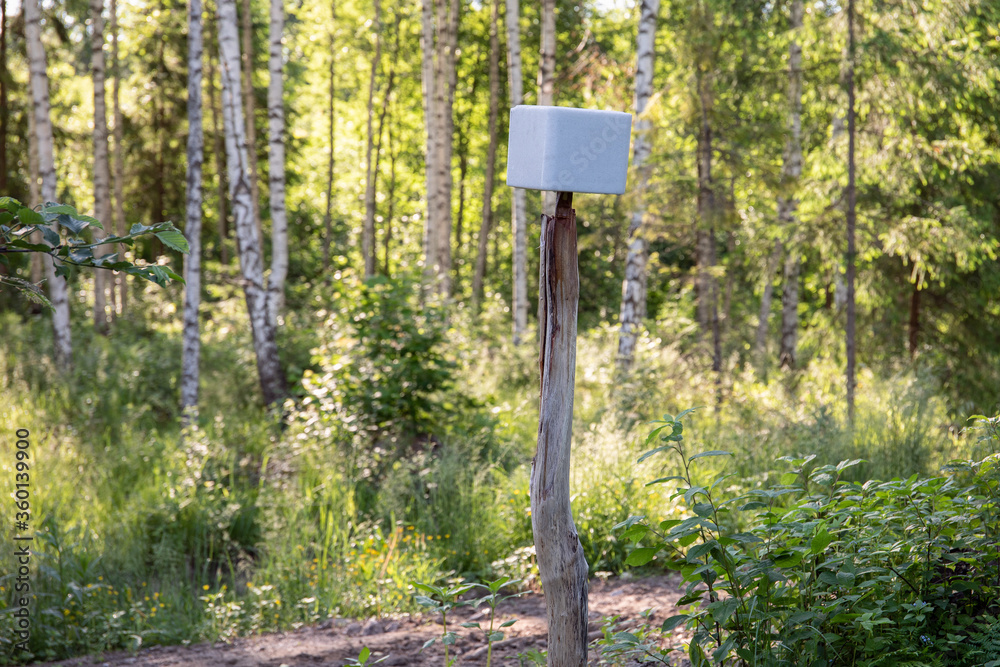 Salt cube in the forest for wild animals. Green forest and nature Stock ...