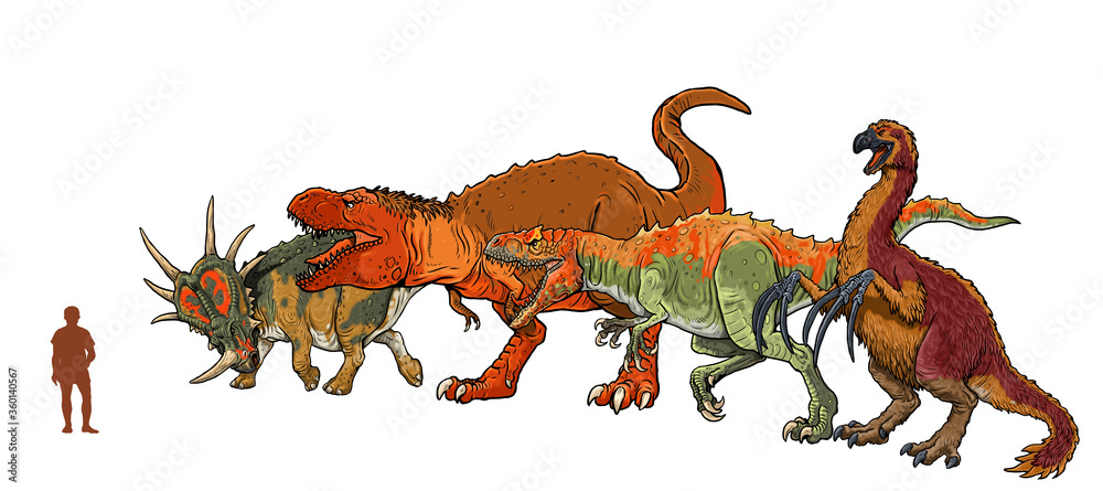 Set of 4 dinosaurs. Comparison between dinosaurs and human ...