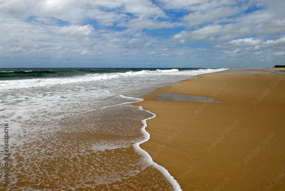 plage de sable sauvage sur la cote atlantique vers le bassin d'Arcachon ...