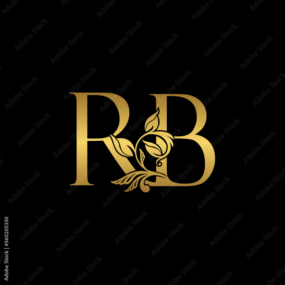 Golden Initial Letter R and B, RB Luxury Logo Icon, Vintage Gold Letter ...