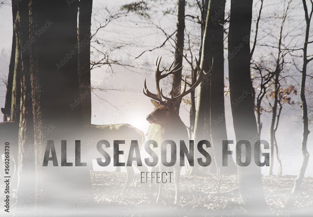 Seasonal Fog Effects Mockup Stock Template | Adobe Stock