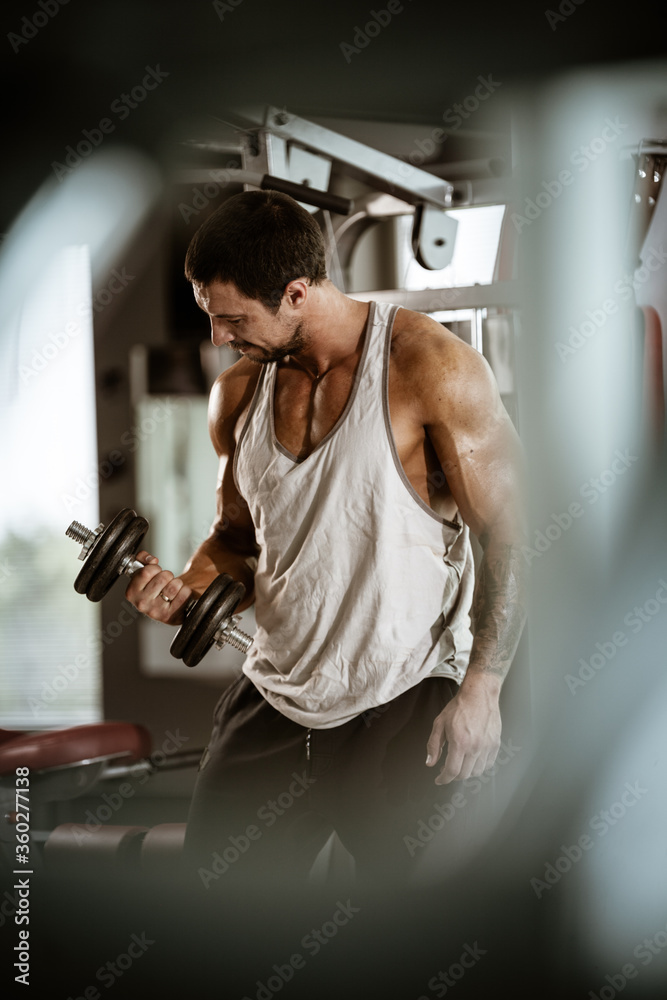 Fitness in gym, sport and healthy lifestyle concept. Handsome athletic ...