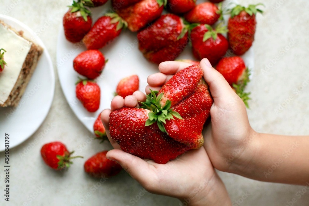 Strawberry in heart shape in child hands. Big red strawberry heart ...