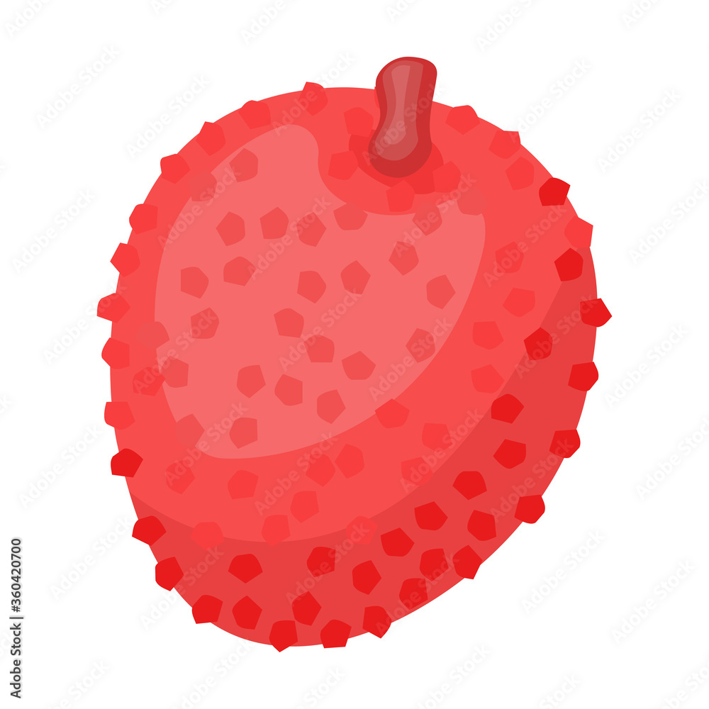 Lychee vector icon.Cartoon vector icon isolated on white background ...