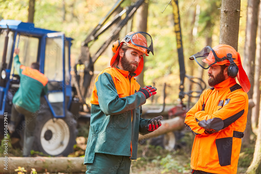 Two lumberjacks are planning the logging in the forest Stock Photo ...