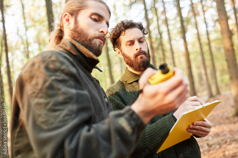 Forester team determines tree height in the forest Stock Photo | Adobe ...