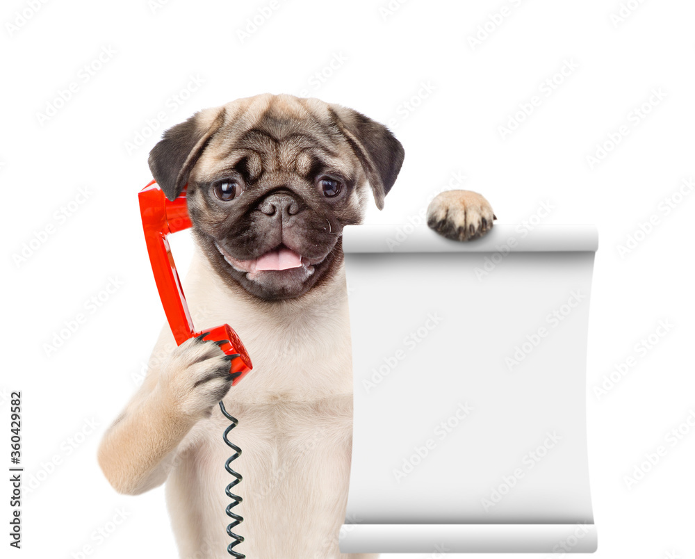 Pug puppy uses a retro phone or telephone and holds empty list ...