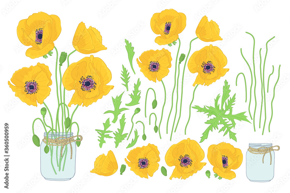 Vetor de Hand drawn poppy flowers in mason jar clipart set. Floral ...