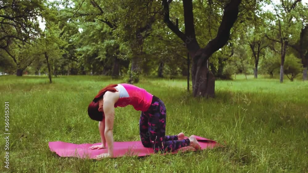 Yoga instructor girl showing cow pose to a cat stretch pose outdoors in ...