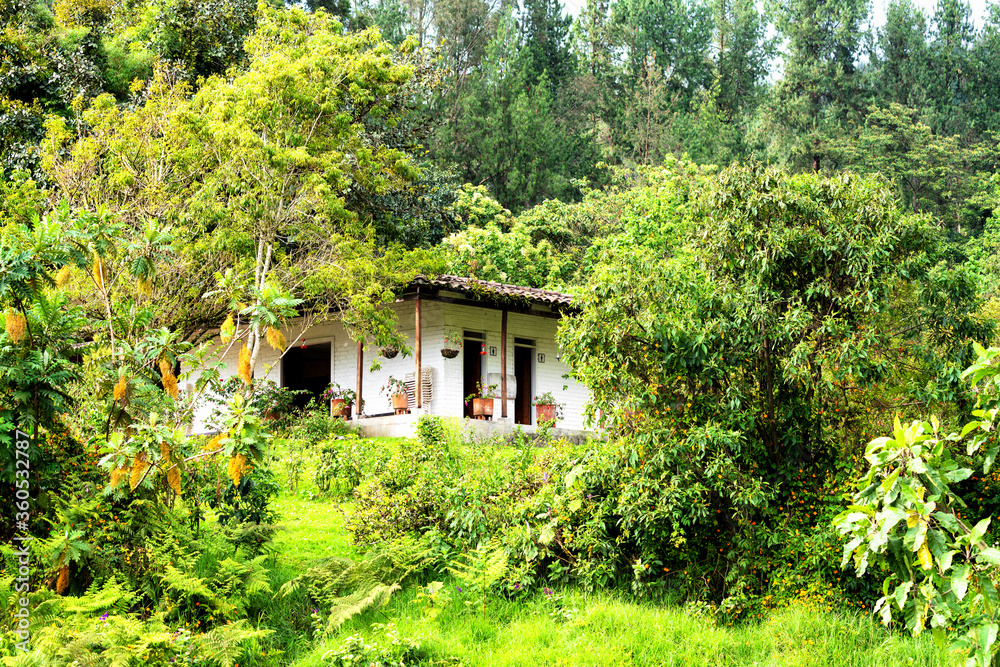 Foto de Farmhouse lodge in the rural mountainous part of Colombia ...