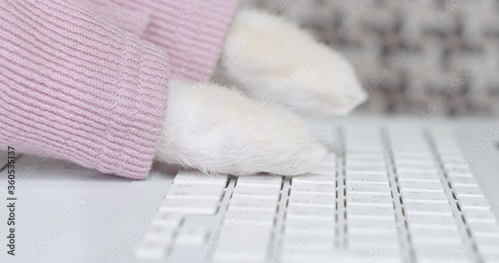 Smart pug dog typing laptop white keyboard computer. Side view Stock ...