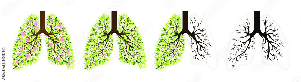 Human lungs. Respiratory system. Healthy lungs. Light in the form of a ...